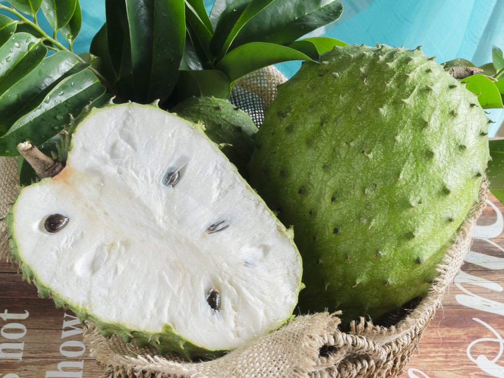 Graviola (Annona muricata)