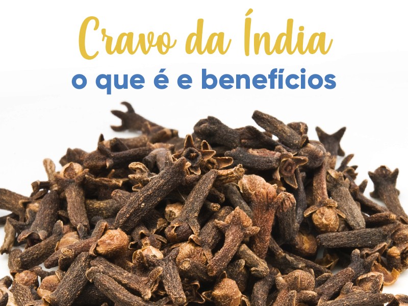 Cravo da Índia: o que é e benefícios