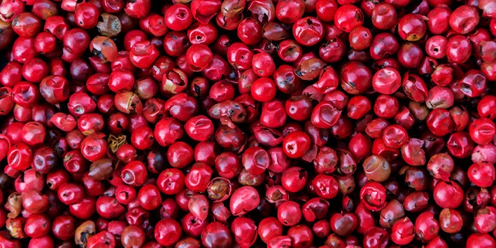 Benefícios da Aroeira ou Árvore da Pimenta Rosa