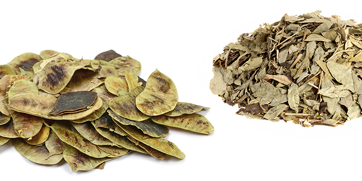 Sene: o que é e para que serve