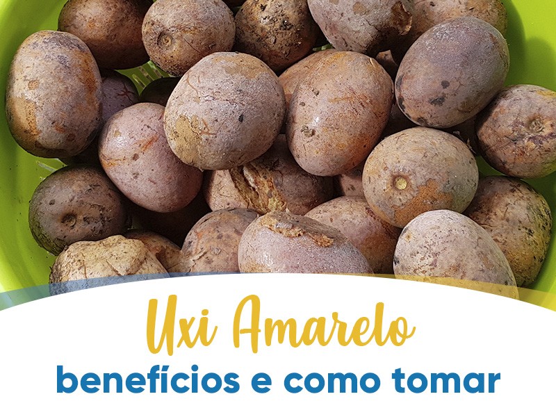 Uxi Amarelo: benefícios e como tomar