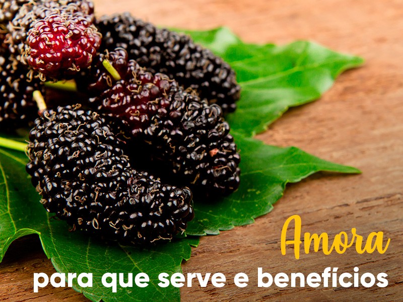 Amora: Para que serve e benefícios