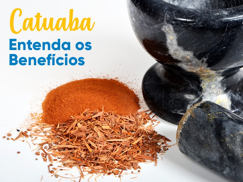 Catuaba é afrodisíaca? Entenda os benefícios medicinais da planta!