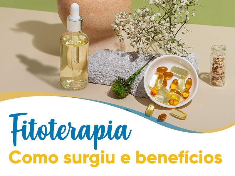 Panacéia (Solanum cernuum) erva com ação diurética, auxiliando nos ...