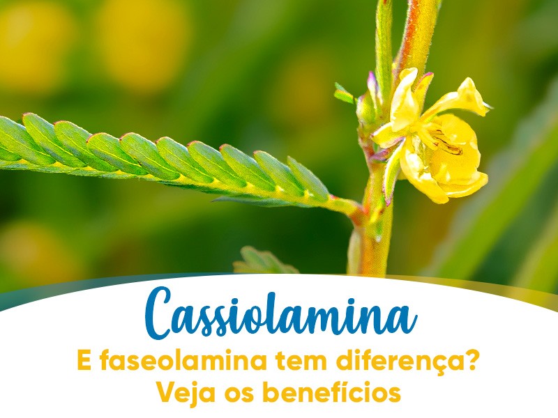 Cassiolamina e faseolamina: Tem diferença? Entenda os benefícios!